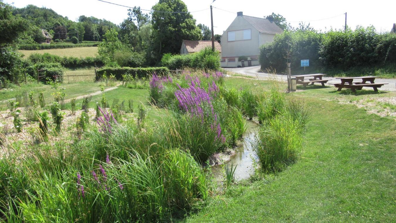 Réalisation des travaux d'entretien de la Hem et ses affluents | Site ...